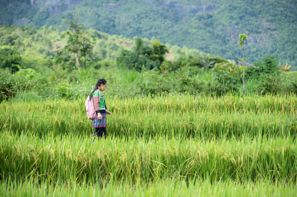 Climat. 2024, année de tous les records ? | ONG CARE