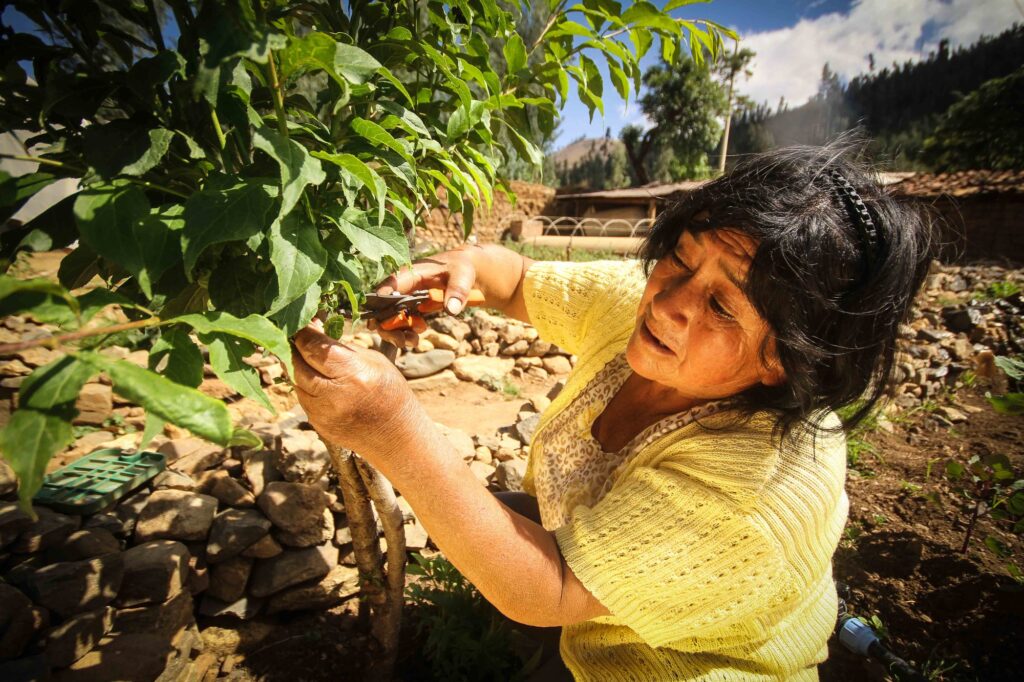 Lutter contre la faim dans le monde | ONG CARE France