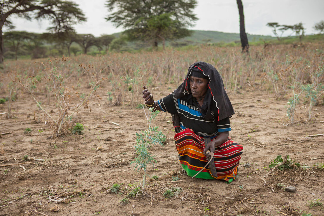 Vocabulaire climatique : 4 notions expliquées | ONG CARE